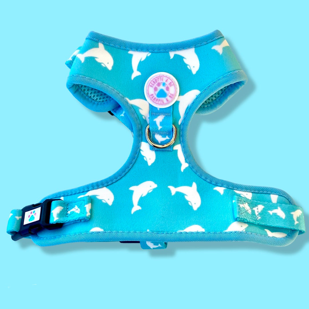Dolphin adjustable Harness – Bearfieandme